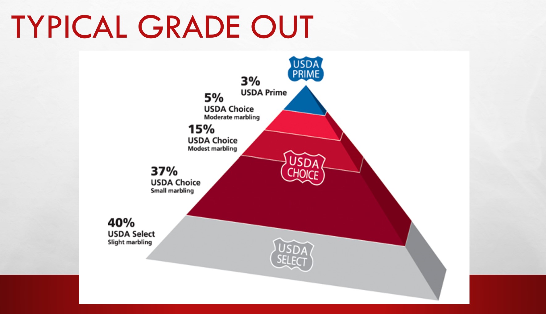 Understanding the Typical Beef Grade Out Chart – Cattle, Cluck and Oink